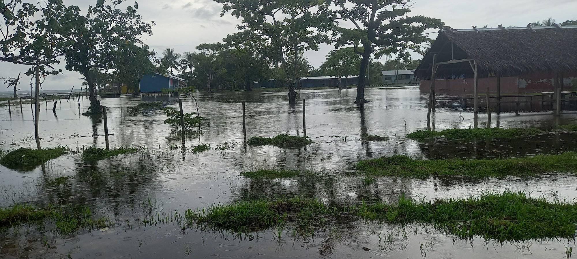 New international development policy can help build climate resilience and regenerate nature in ...