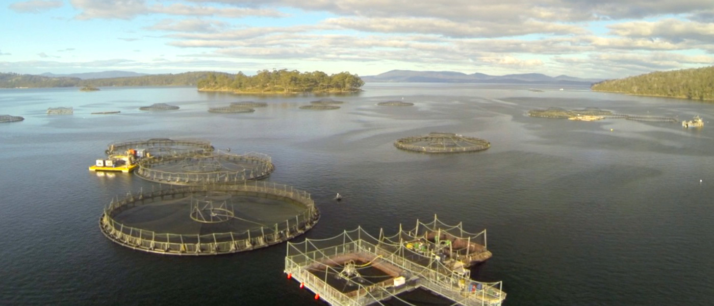Responsibly farmed salmon | WWF Australia