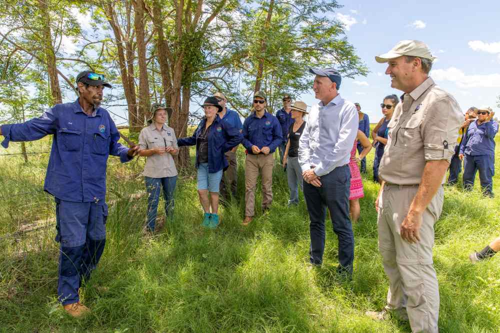 Grant boosts conservation efforts for rare wallaby - WWF-Australia ...