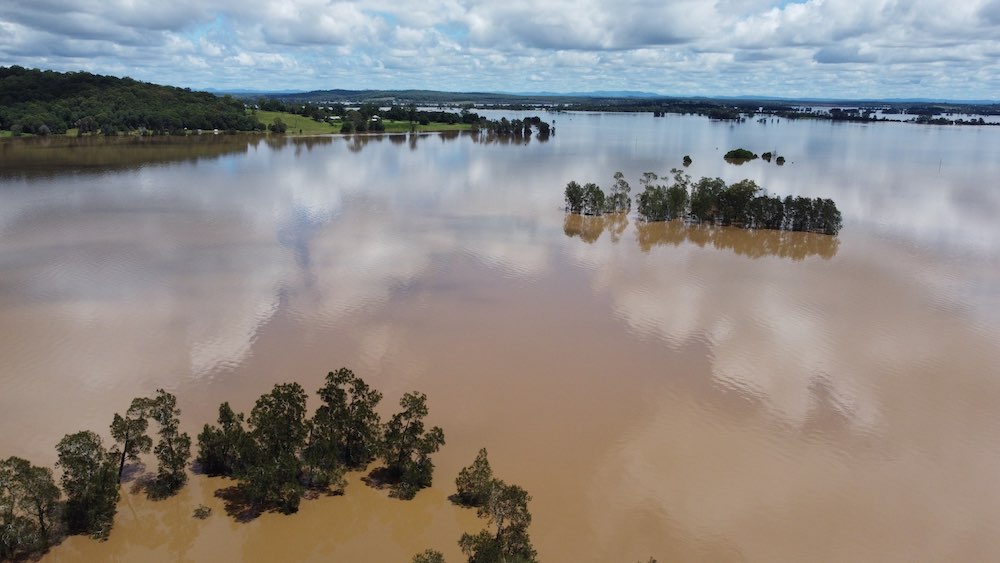 On-the-ground in the Northern Rivers flood recovery effort | WWF ...
