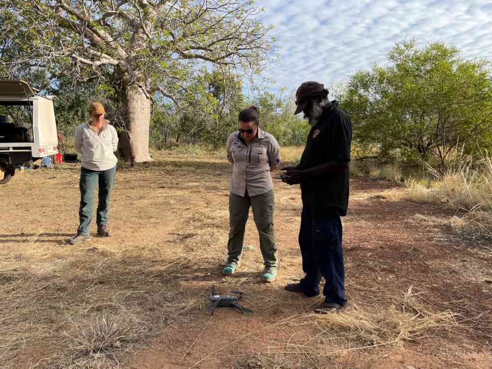 Indigenous rangers trial drones to track rare rock-wallaby | Indigenous ...