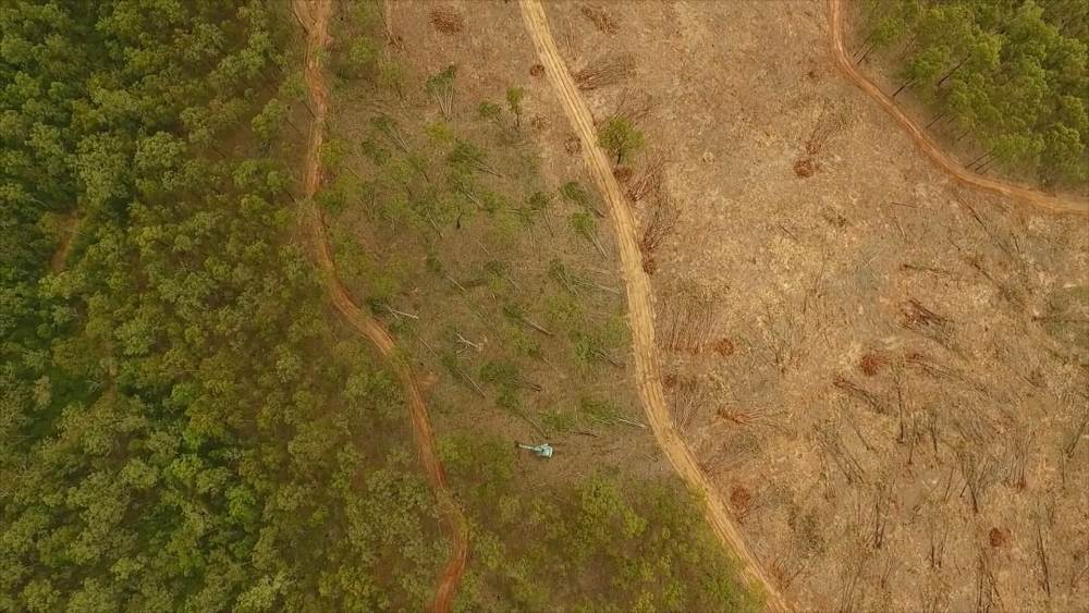 Australia remains the only developed nation on the list of global deforestation fronts ...