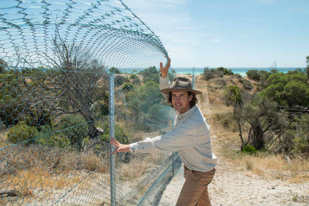 Predator-control fence brings hope for Australia’s most threatened ...