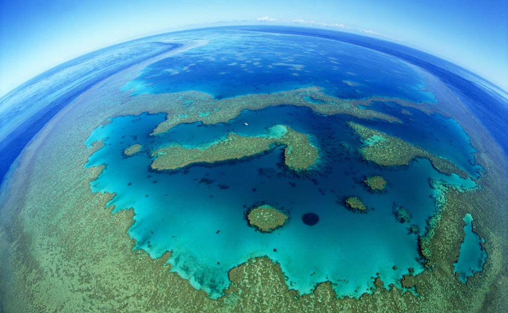 Reducing water pollution to the Reef will cost $8.2 billion - WWF | The ...