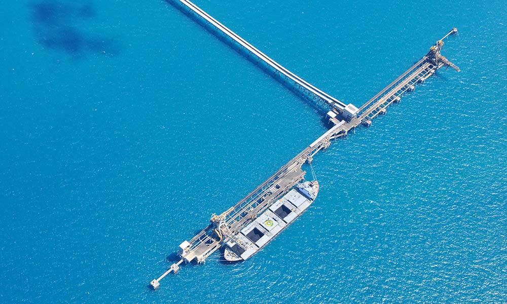 WWF: Abbot Point expansion too big a risk - WWF-Australia | WWF: Abbot ...