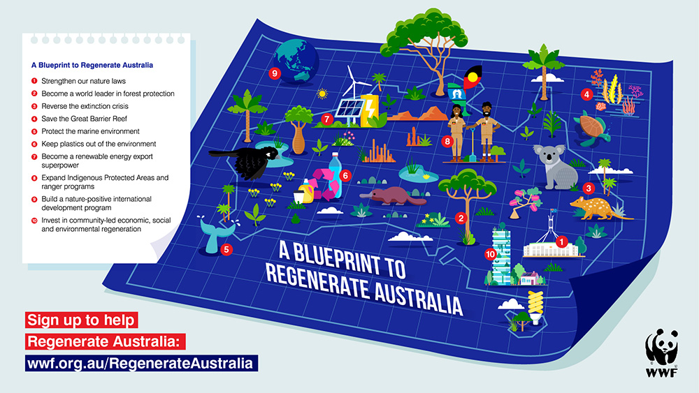 A Blueprint To Regenerate Australia Wwf Australia A Blueprint To