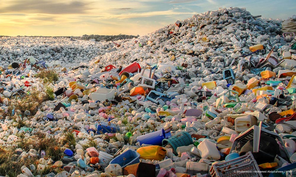 WWF welcomes historic commitment to cut plastic waste - WWF-Australia ...