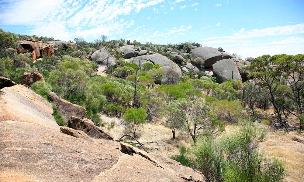 Earth Hour 2019: Australians encouraged to support climate change ...