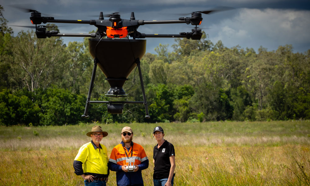 Drone plants “koala caviar” to help iconic species | Drone plants ...