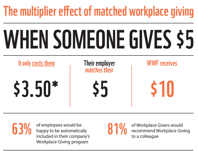 Infographics Employee Giving Campaign