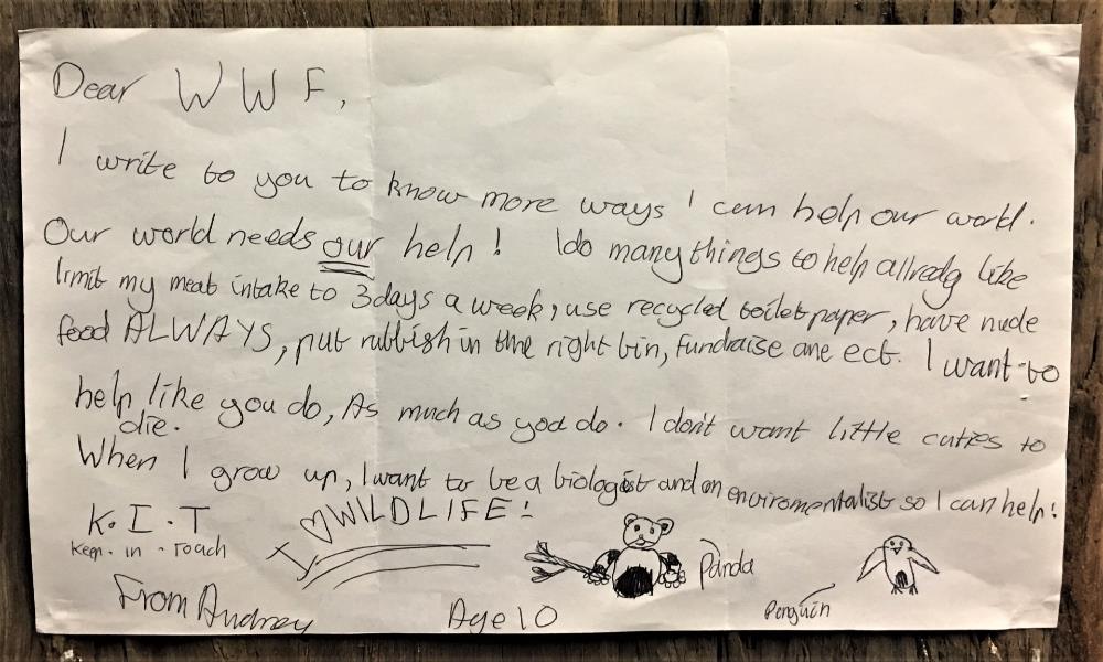 The Letter T In Nature