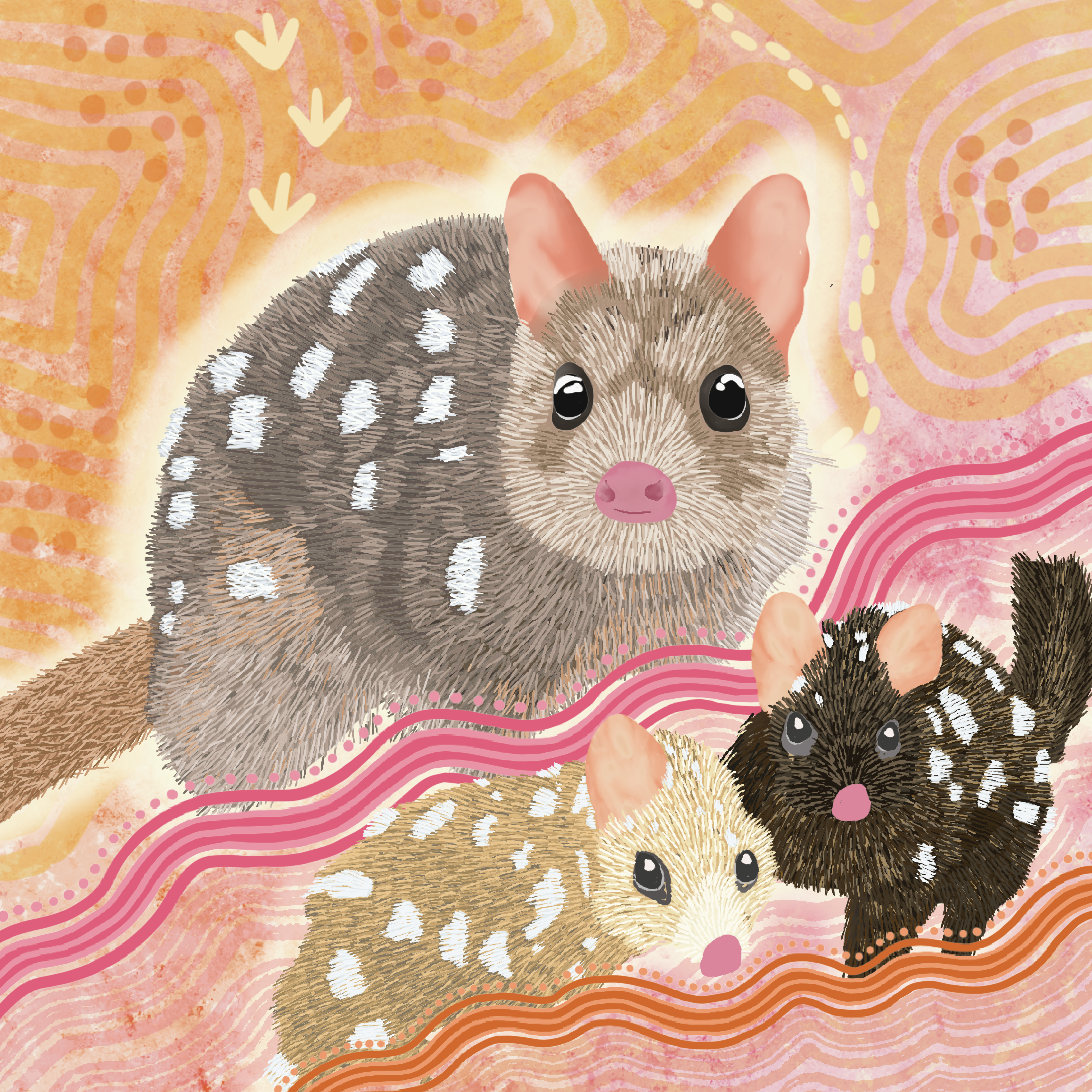 Eastern Quoll Wwfaustralia Wwfaustralia First Eastern Quolls In 50